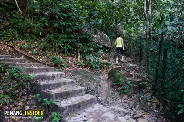 Guide to Hiking in Penang Hill to Moon Gate Station5 - PENANG INSIDER