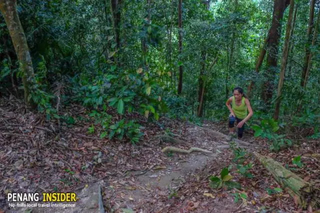 Guide to Hiking in Penang Hill to Moon Gate Station5 - PENANG INSIDER