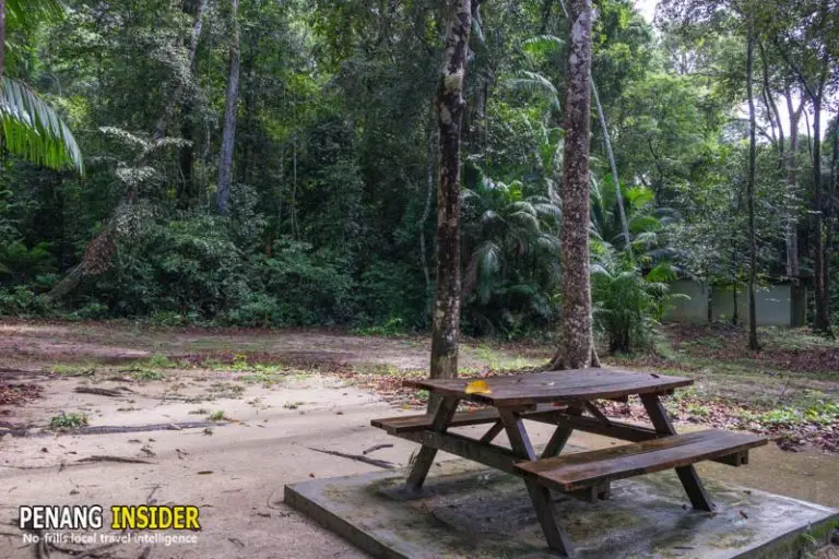 10 Amazing Things to Do in Teluk Bahang at Penang National Park ...