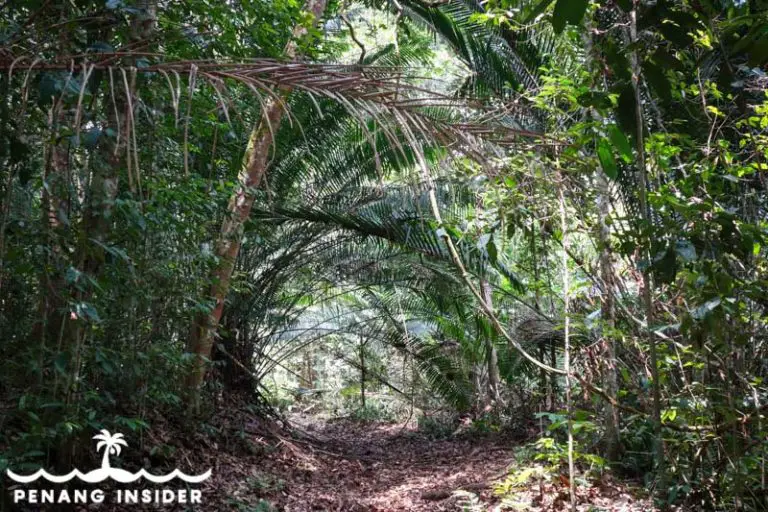 22 Great Seberang Perai Attractions to Visit - PENANG INSIDER
