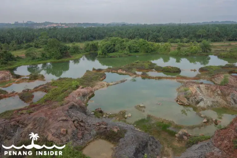 The Ultimate Guide to Visiting Frog Hill Penang
