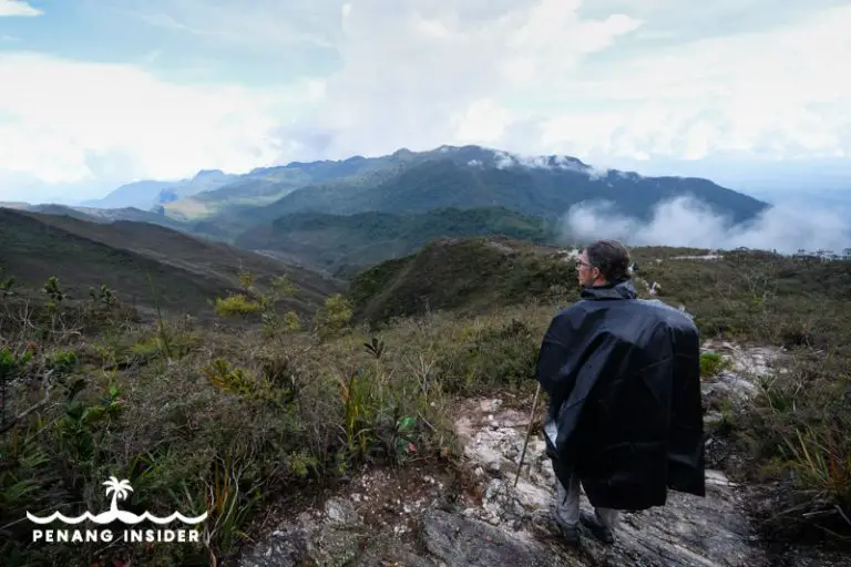 Gunung Tahan: Ultimate 2025 Guide to West Malaysia's Tallest Peak