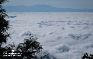 Gunung Tahan: Ultimate 2025 Guide to West Malaysia's Tallest Peak