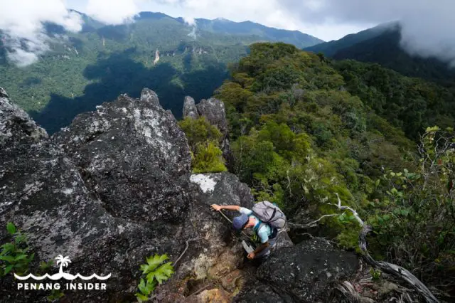Gunung Tahan: Ultimate 2025 Guide to West Malaysia's Tallest Peak