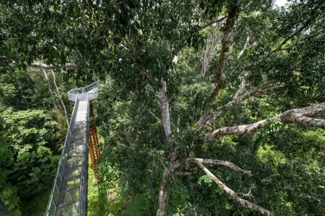 Sungai Relau Treetop Walk | Explore Malaysia Newest Canopy Walk